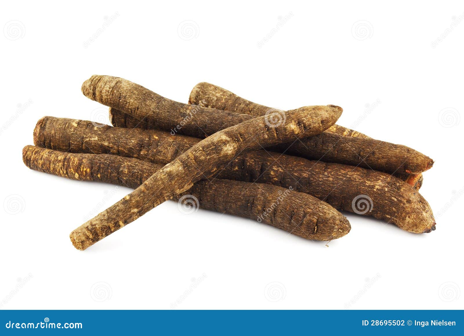 Salsifis Photos Stock - Téléchargez 1,707 Photos libres de droits