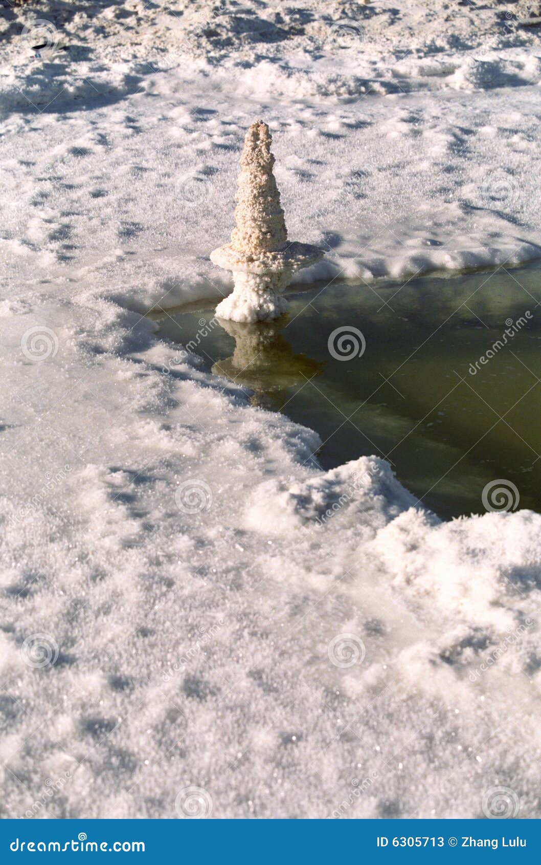 Salt stock image. Image of bittern, lake, saline, white - 6305713