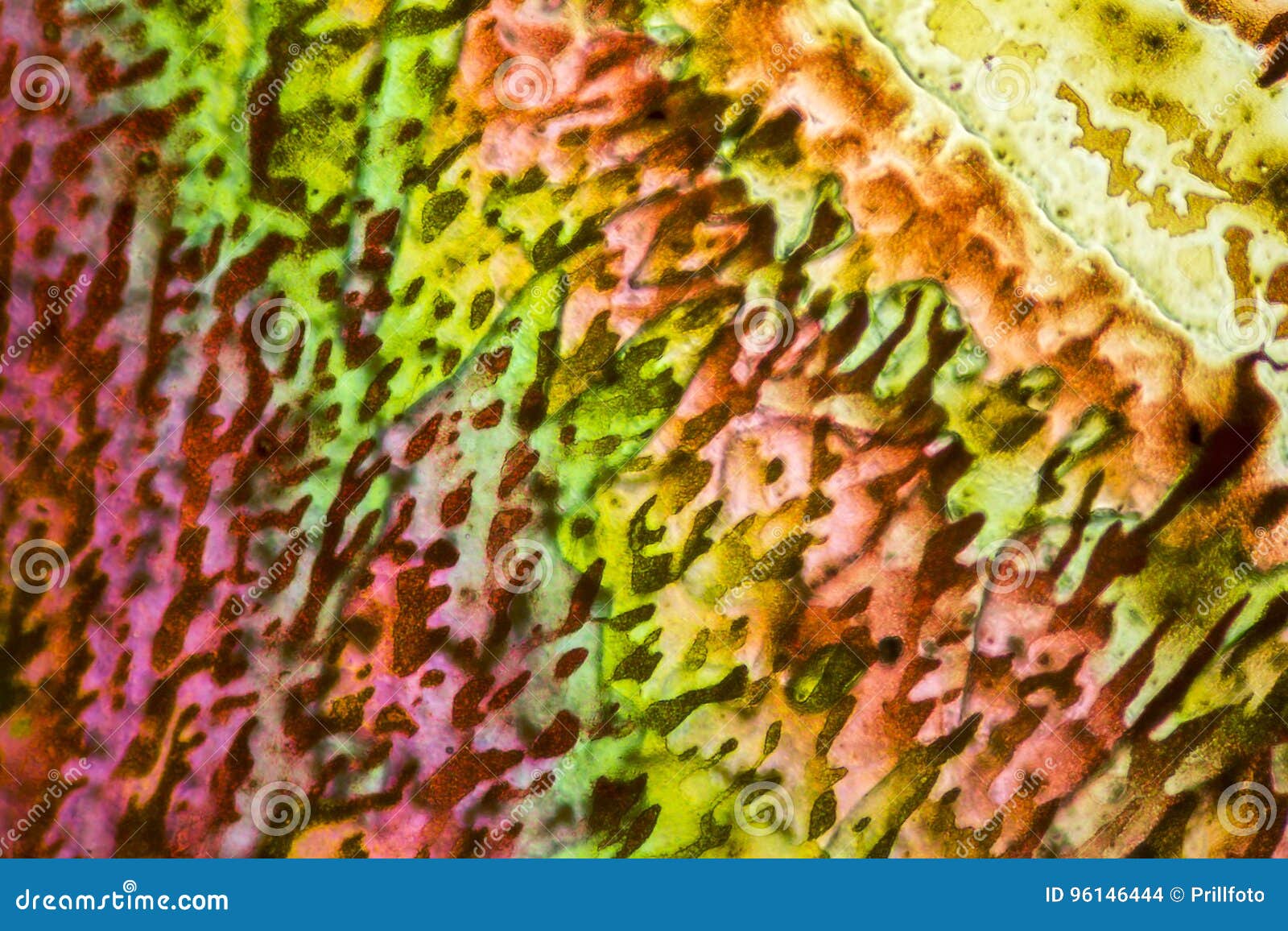 Salt acid microcrystals stock photo. Image of polarized - 96146444