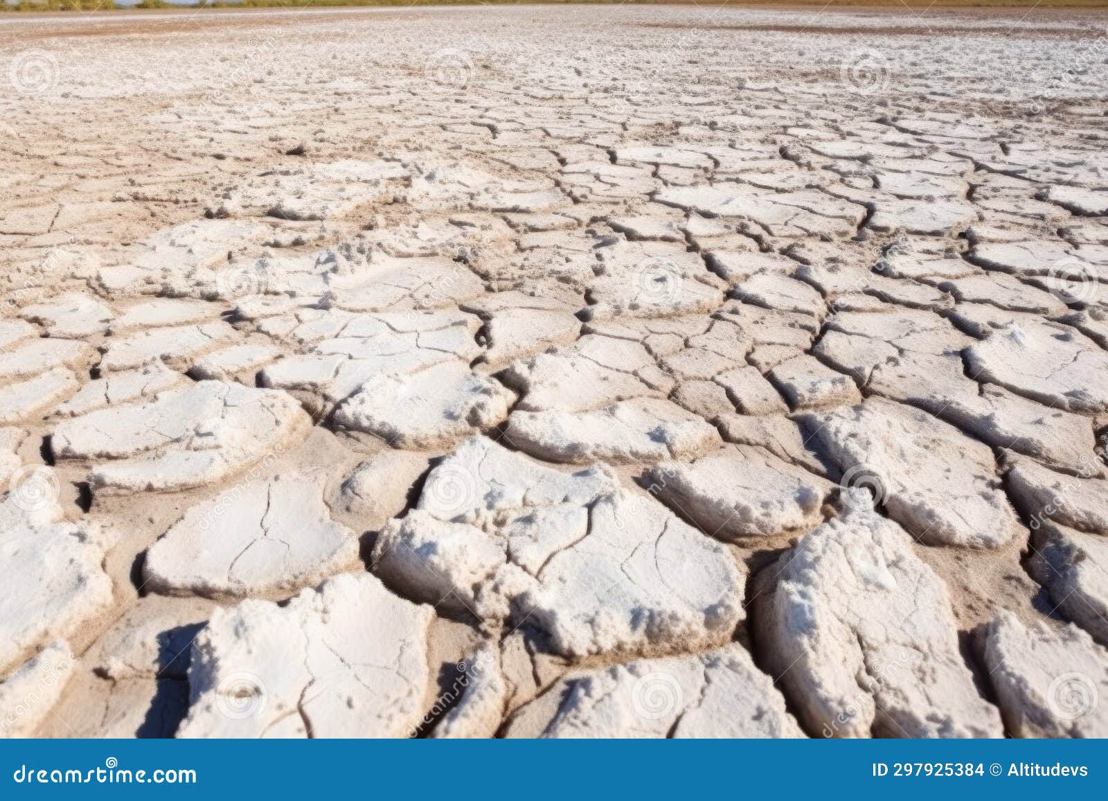 Salt-affected Soil with Visible White Crust Stock Photo - Image of ...
