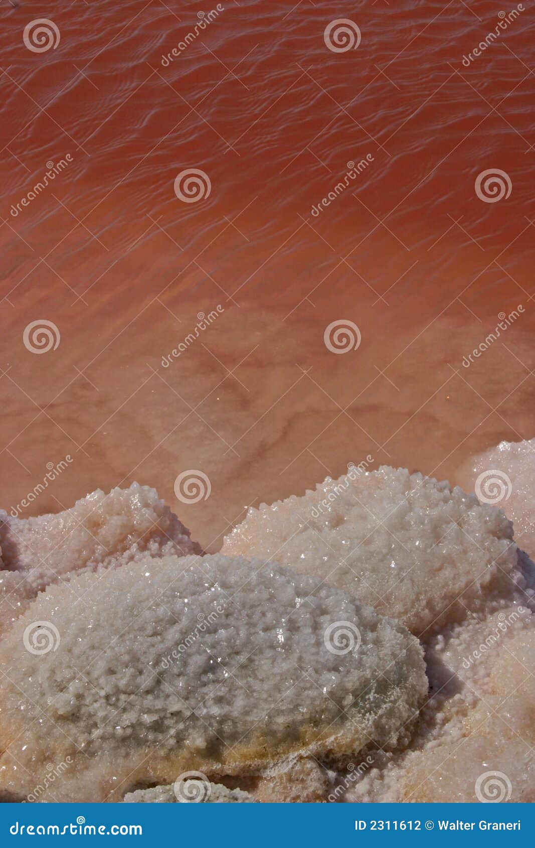 Salt area stock photo. Image of camargue, nature, salt - 2311612