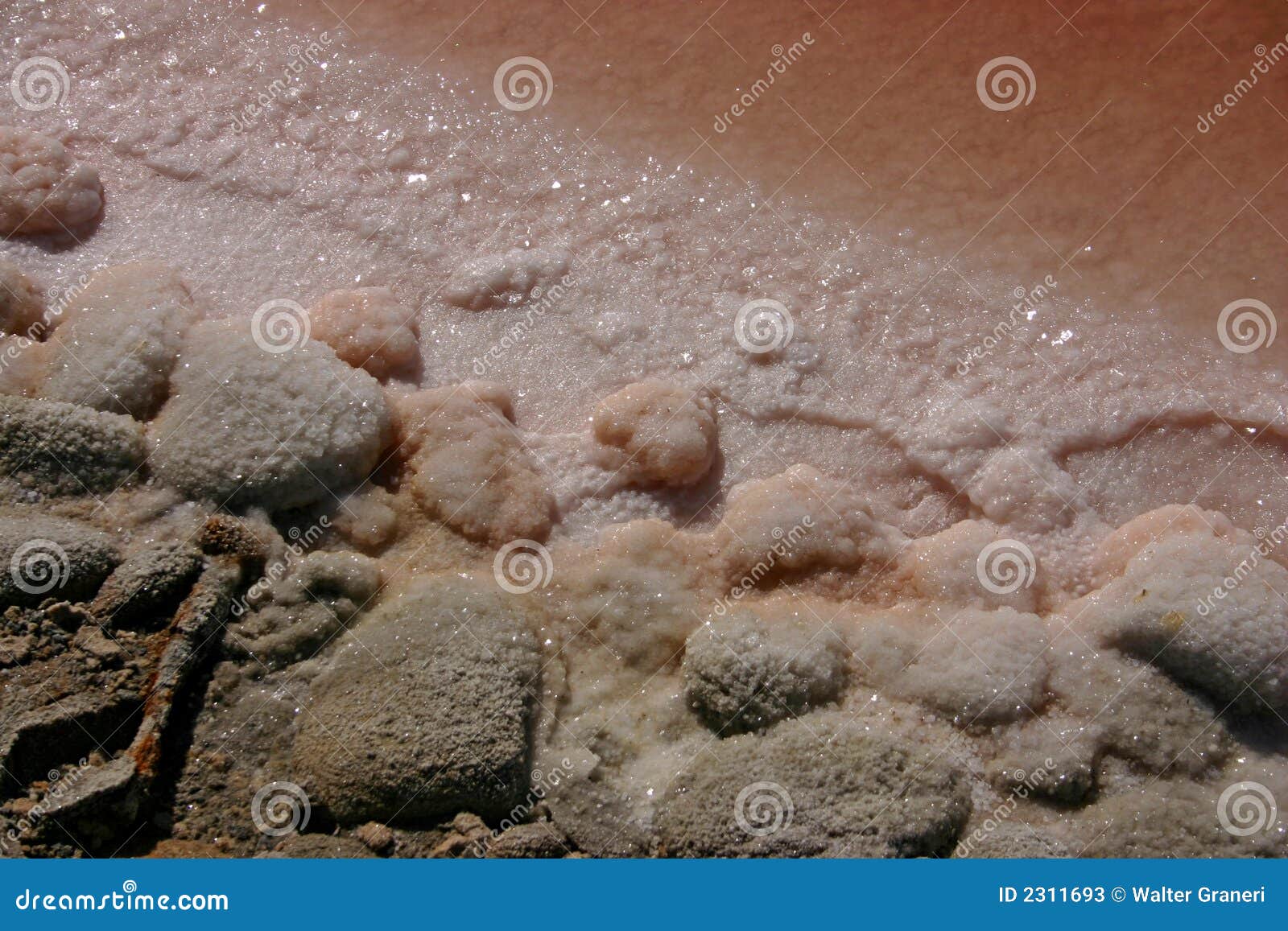 Salt area stock image. Image of coast, camargue, rock - 2311693