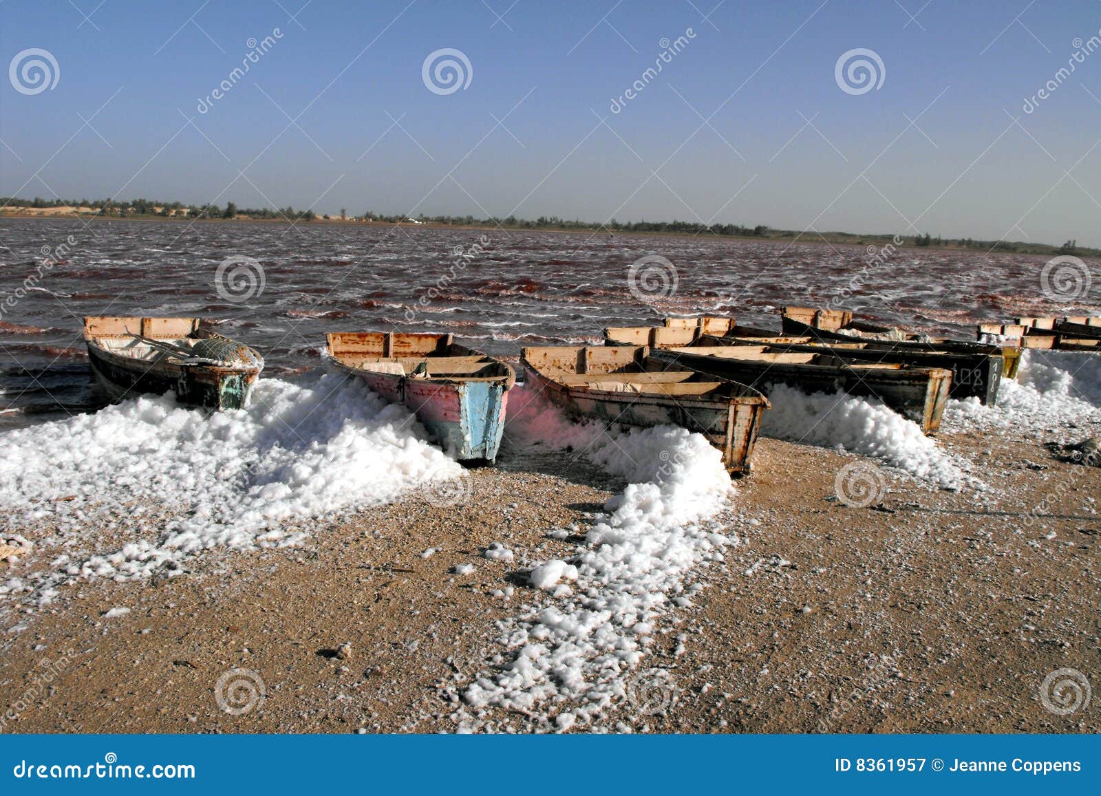 125 Salt Circuit Stock Photos - Free & Royalty-Free Stock Photos from ...