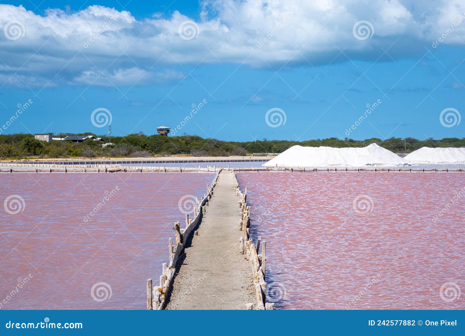 Salt Bank at Puerto Rico stock photo. Image of bank - 242577882