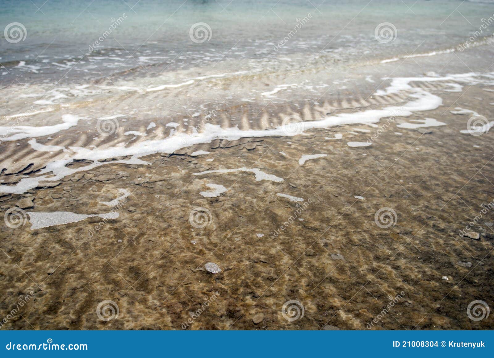 Salt on banks of Dead Sea stock photo. Image of beach - 21008304