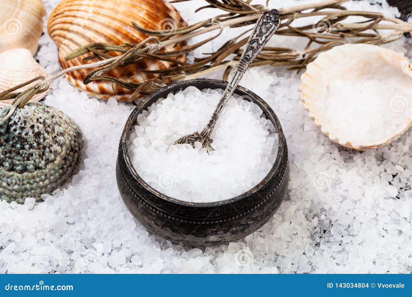 Salt Cellar, Shells and Sea Salt Close Up Stock Photo - Image of ...
