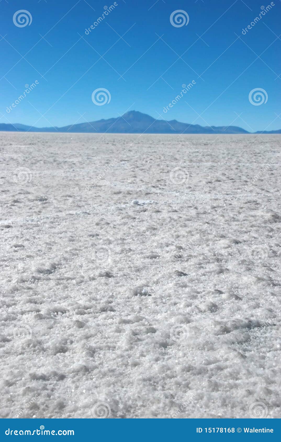 Salt Closeup in a Salt Desert Stock Photo - Image of plain, place: 15178168