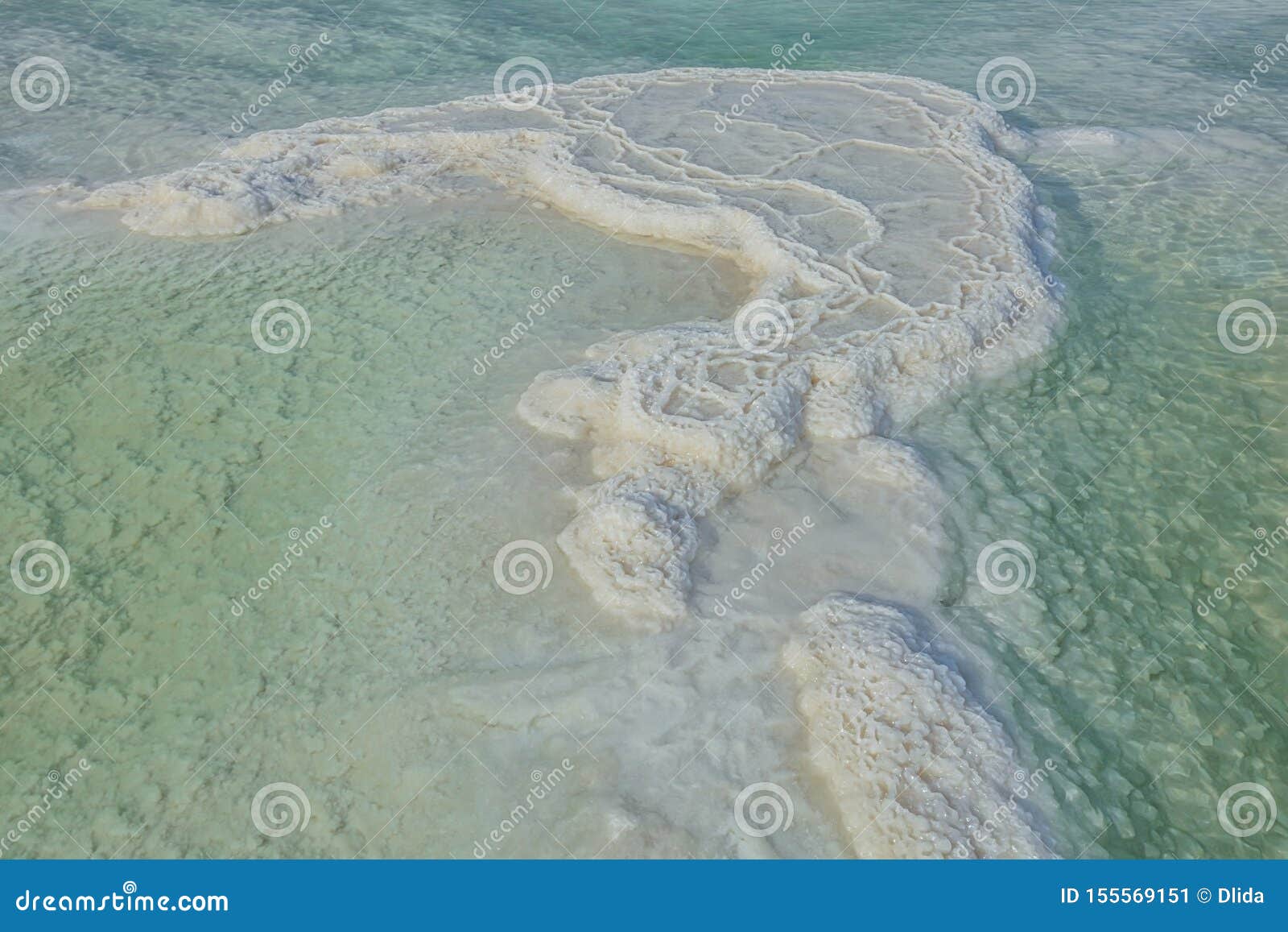 Salt on the Coast of the Dead Sea Stock Image - Image of salt ...