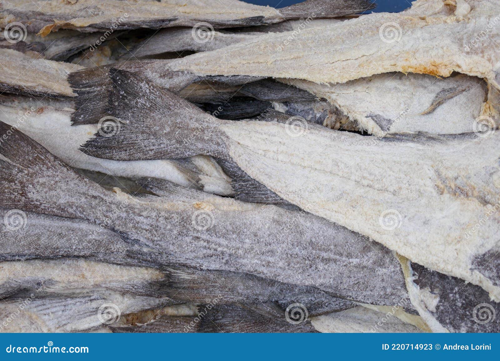Salt Cod or Codfish or Stockfish Closeup Macro Detail Stock Image ...