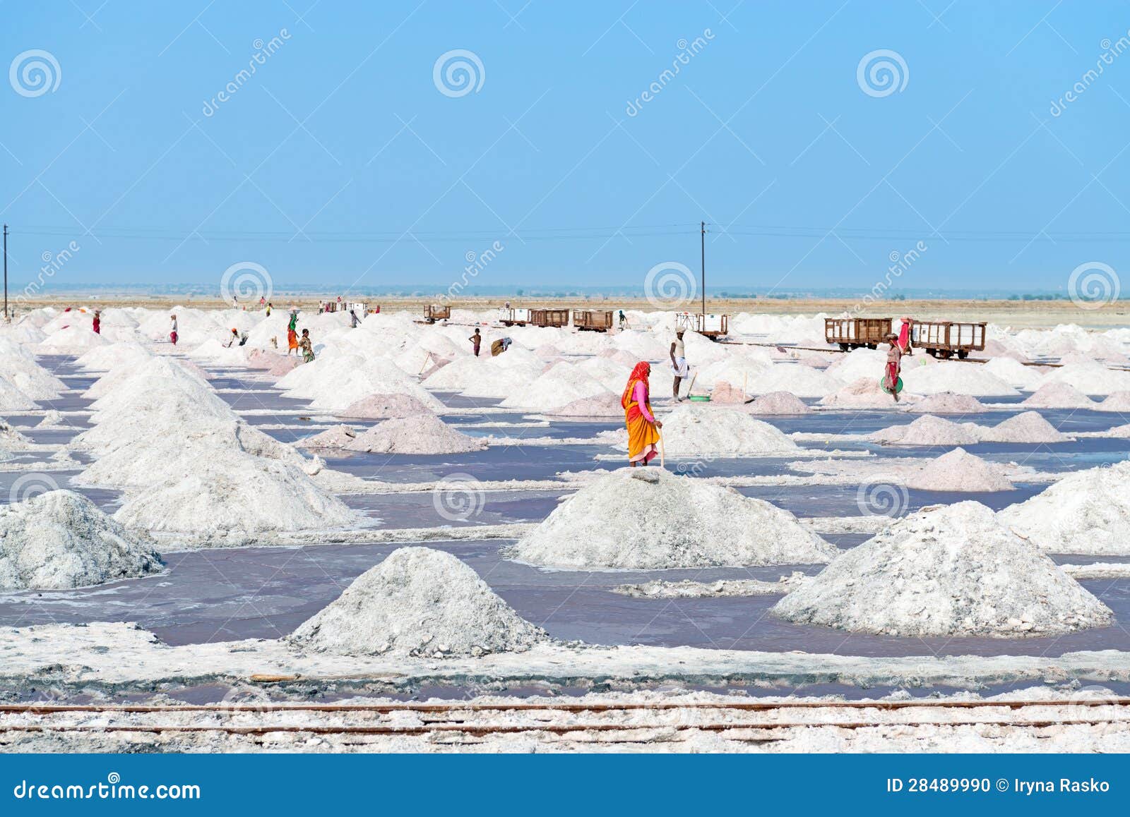 Salt Collecting in Salt Farm, India Editorial Image - Image of indian ...