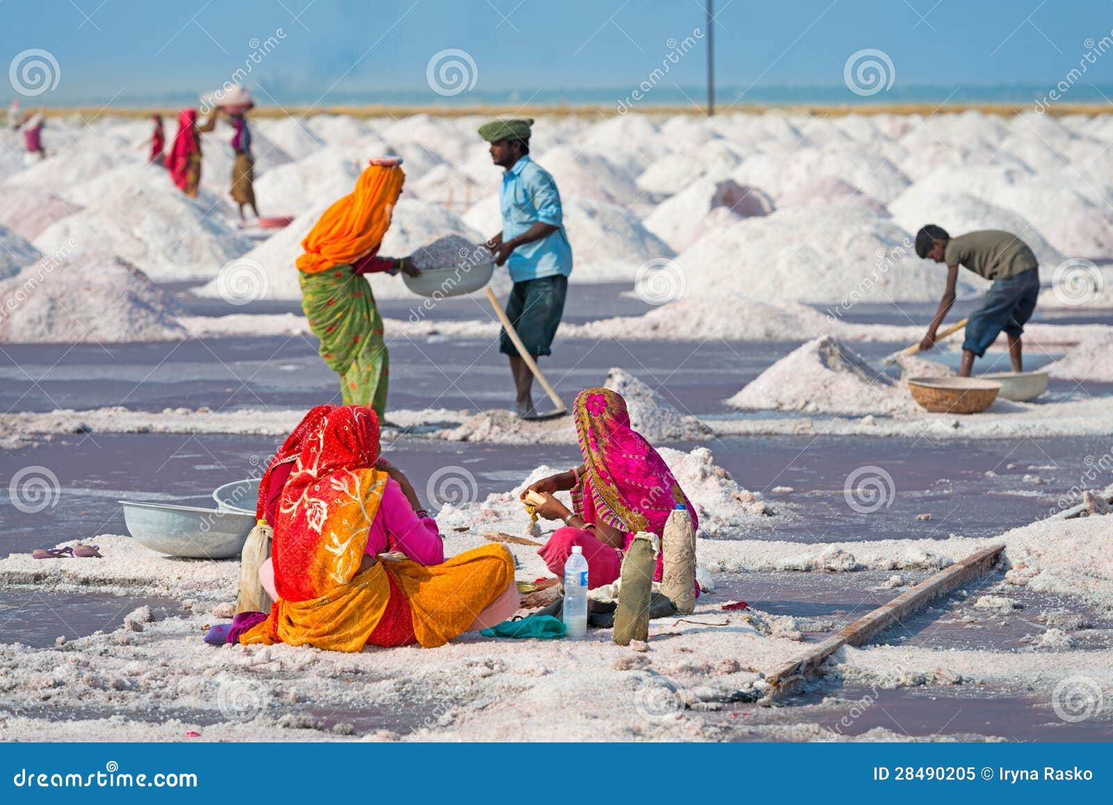 Salt Collecting in Salt Farm, India Editorial Image - Image of indian ...