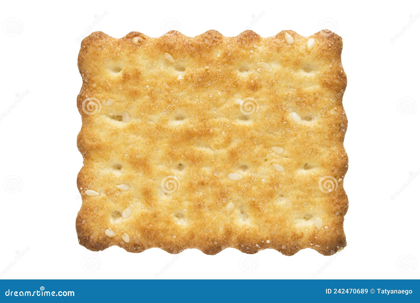 Salt cracker isolated stock image. Image of object, homemade - 242470689