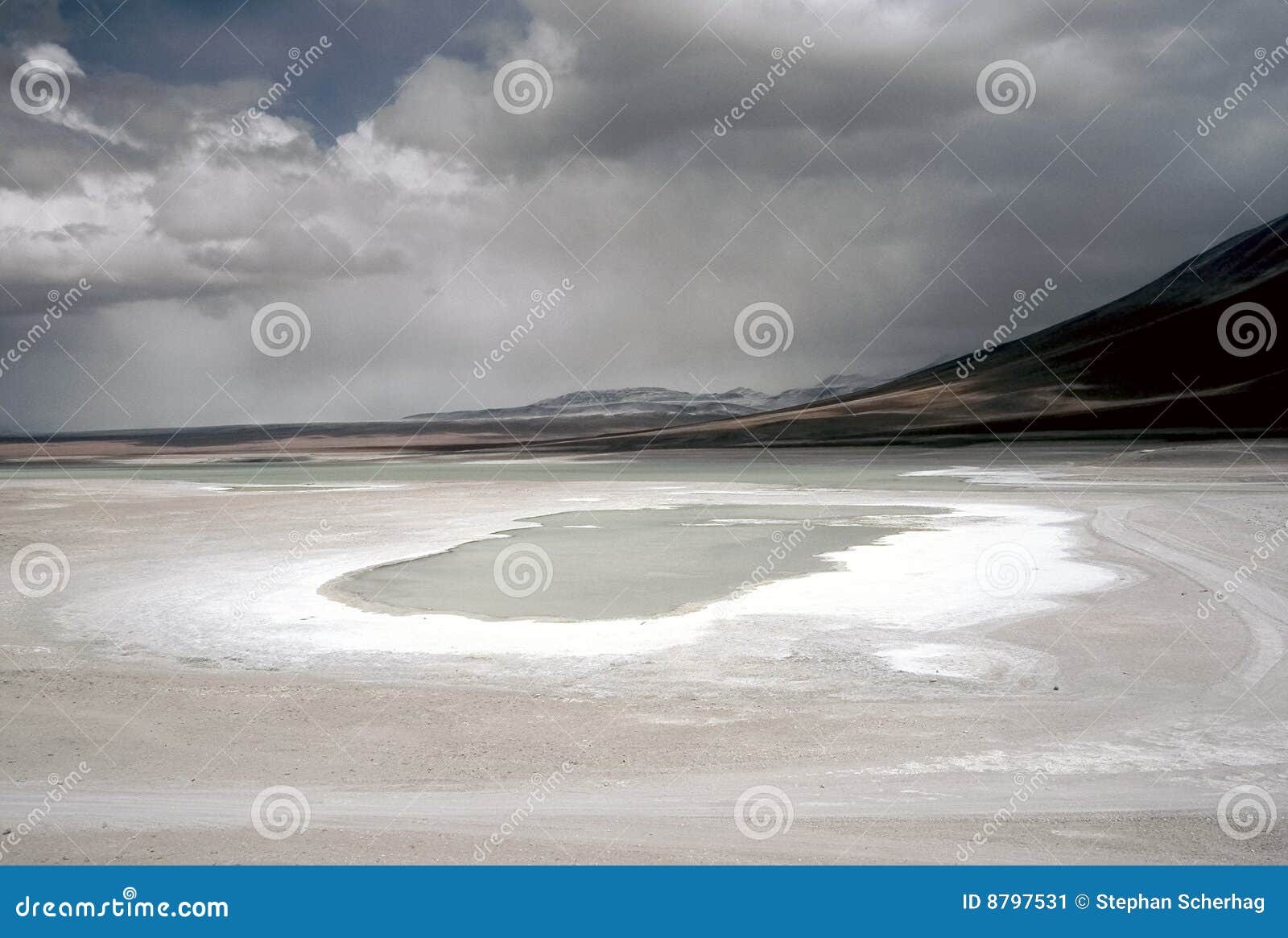 Salt Crust In The Shore Of Chaxa Lagoon In The Middle Of The Salar De ...