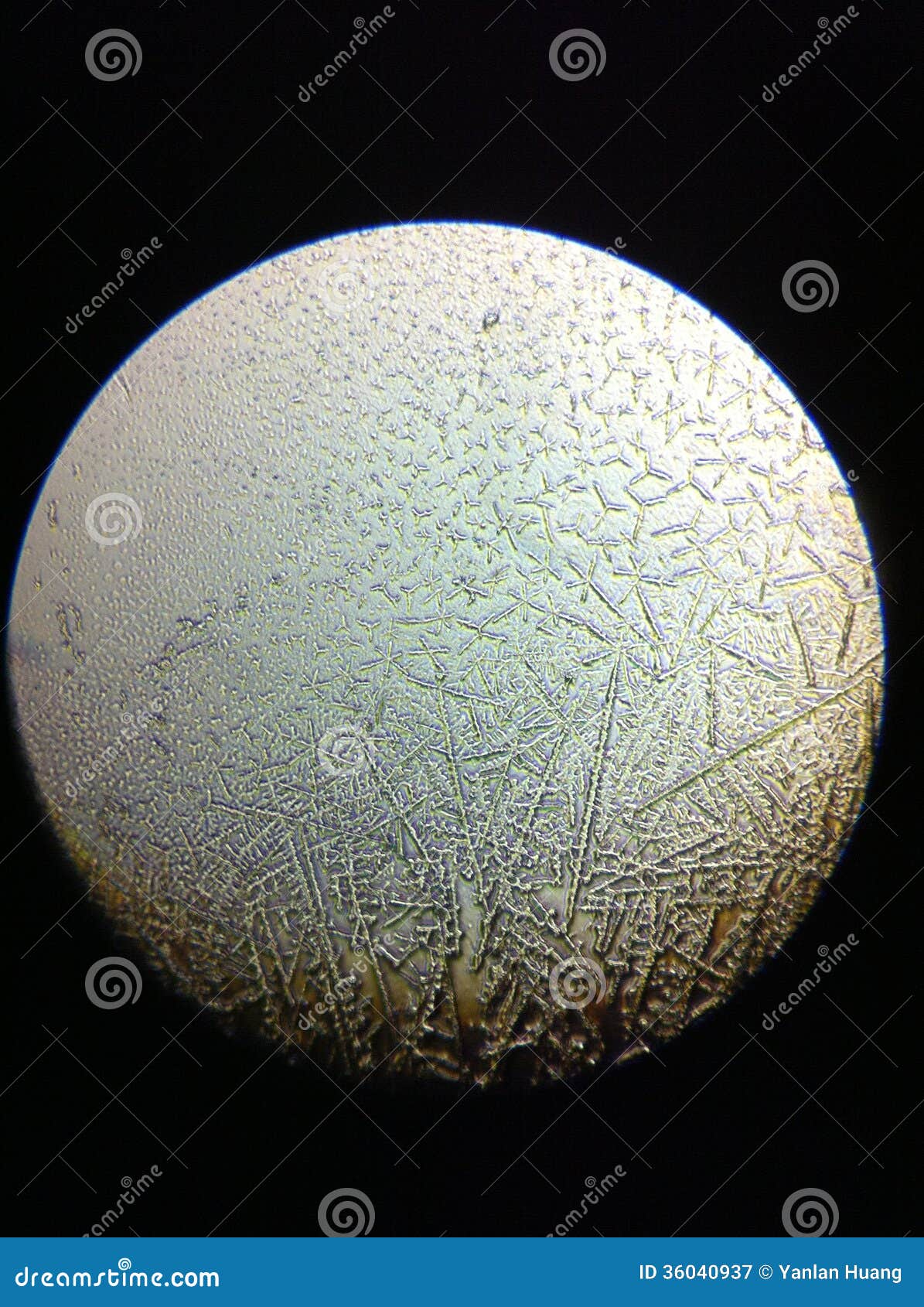 Salt Crystal As Seen with Microscope Stock Image - Image of magnified ...