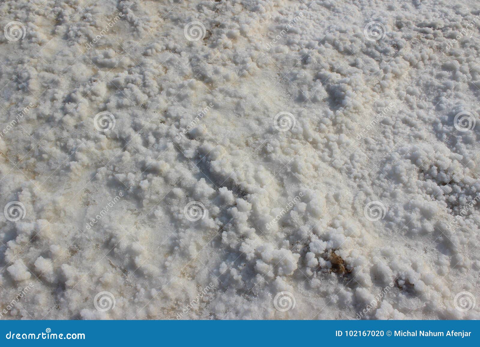 Salt Crystals on the Ground Stock Photo - Image of middle, land: 102167020