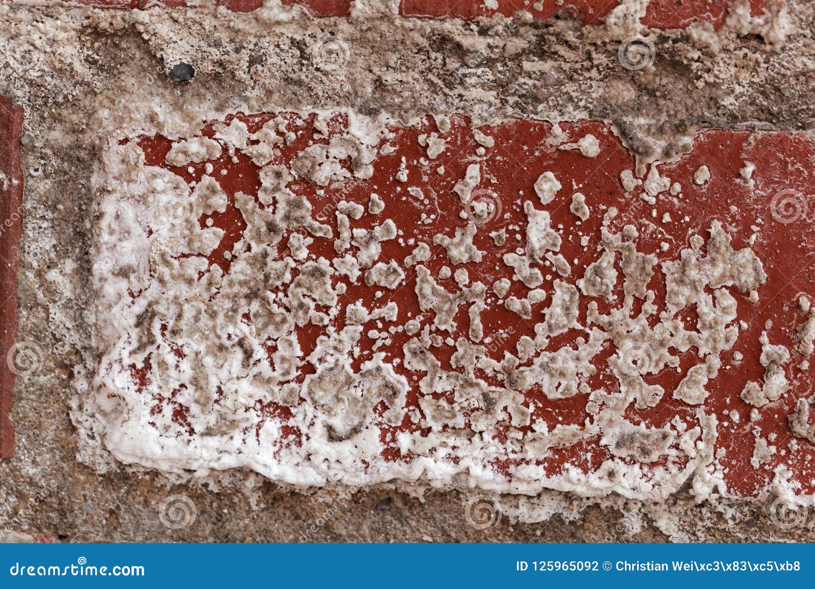 Salt Crystals on the Surface of a Red Brick Stock Photo - Image of ...