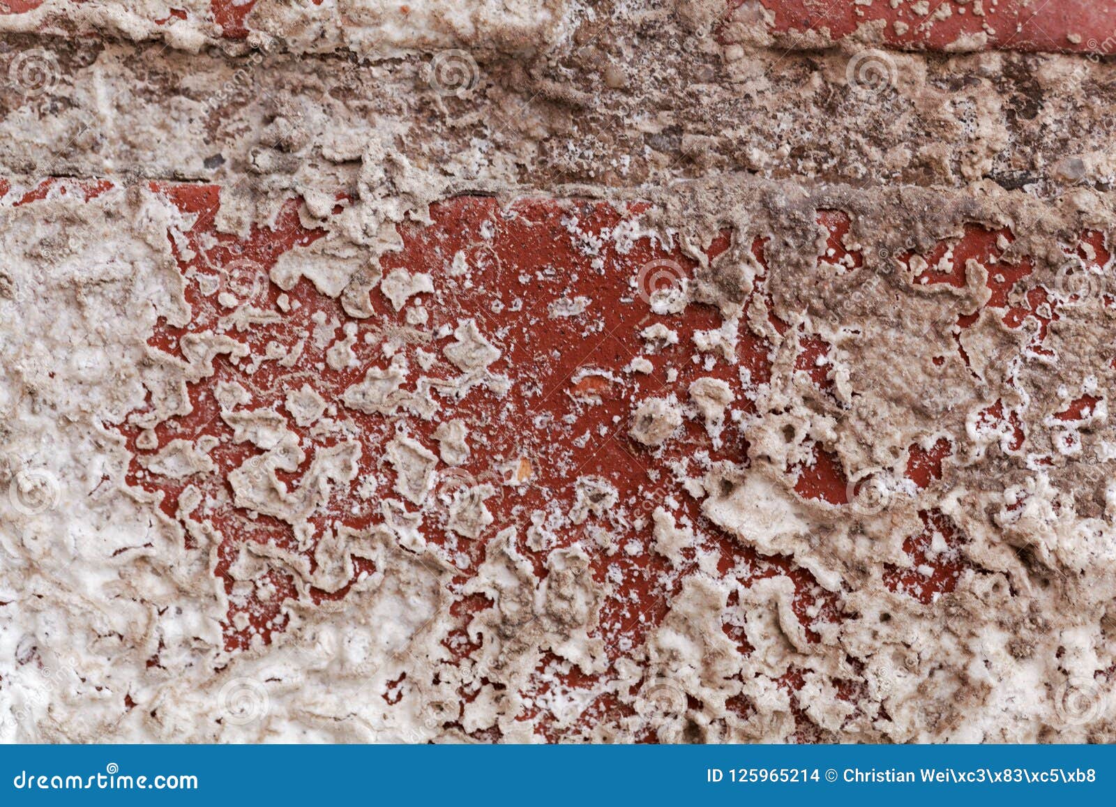 Salt Crystals on the Surface of a Red Brick Stock Photo - Image of ...