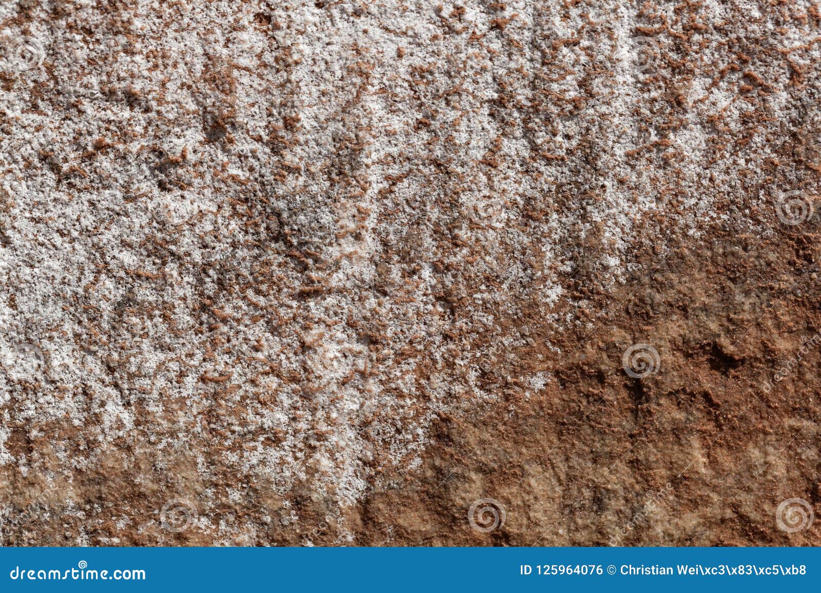 Salt Crystals on the Surface of a Sandstone Stock Photo - Image of ...