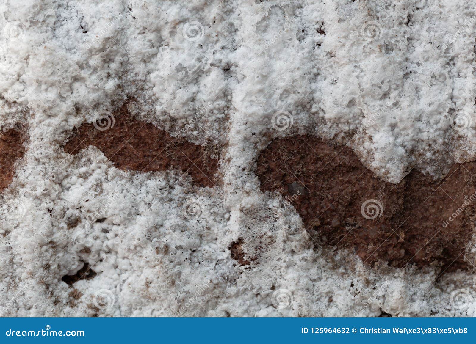 Salt Crystals on the Surface of a Sandstone Stock Photo - Image of ...