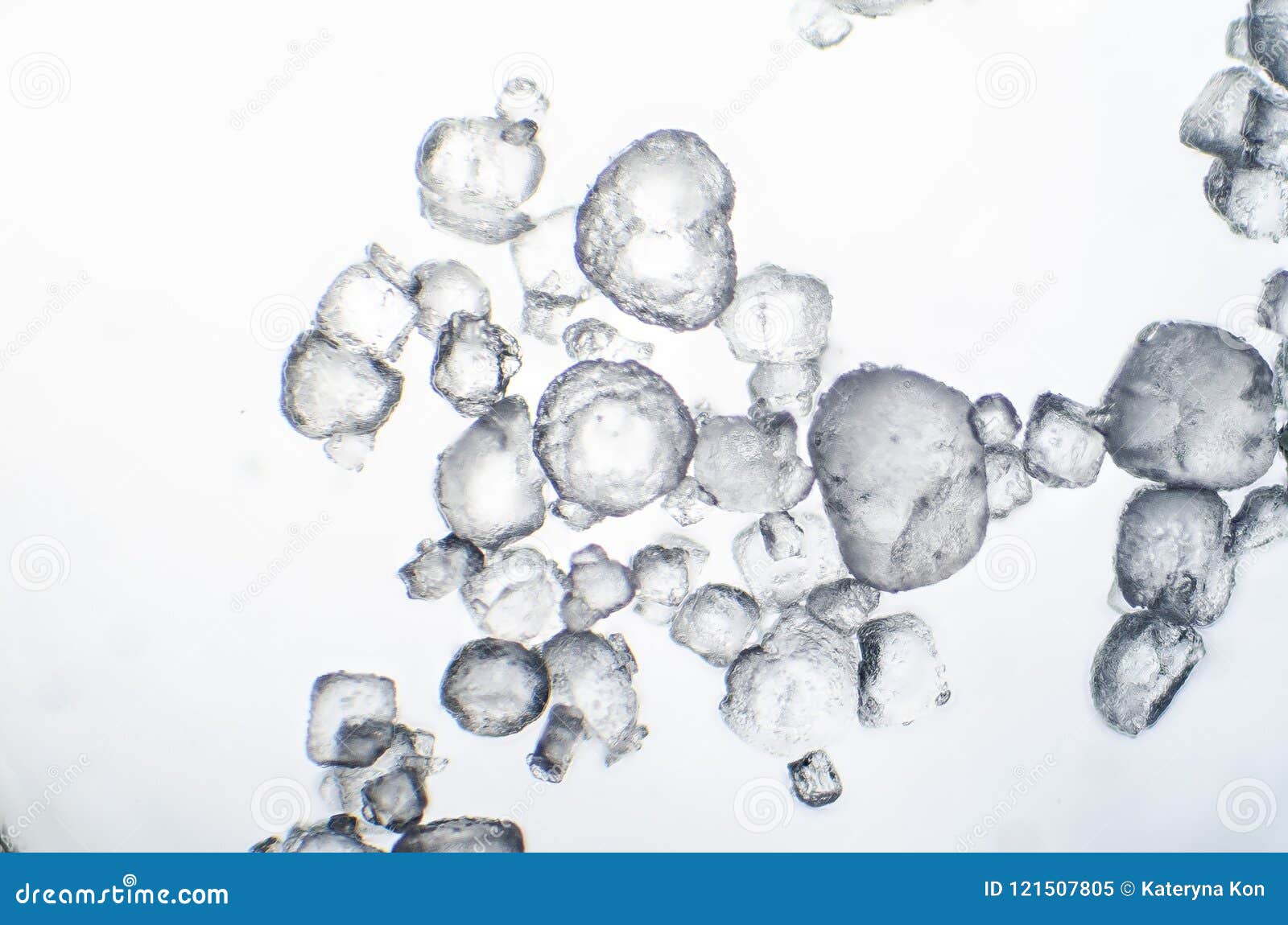 Salt Crystals Under Microscope Stock Images - Download 79 Royalty Free ...