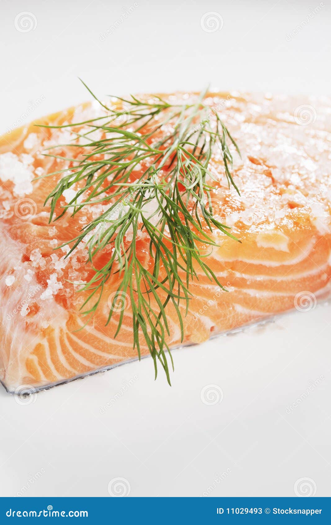 Salt cured salmon stock image. Image of sugar, gravad - 11029493