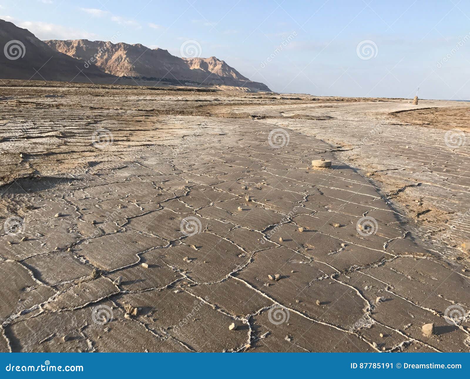 Salt stock image. Image of dead, israel, salt, beach - 87785191