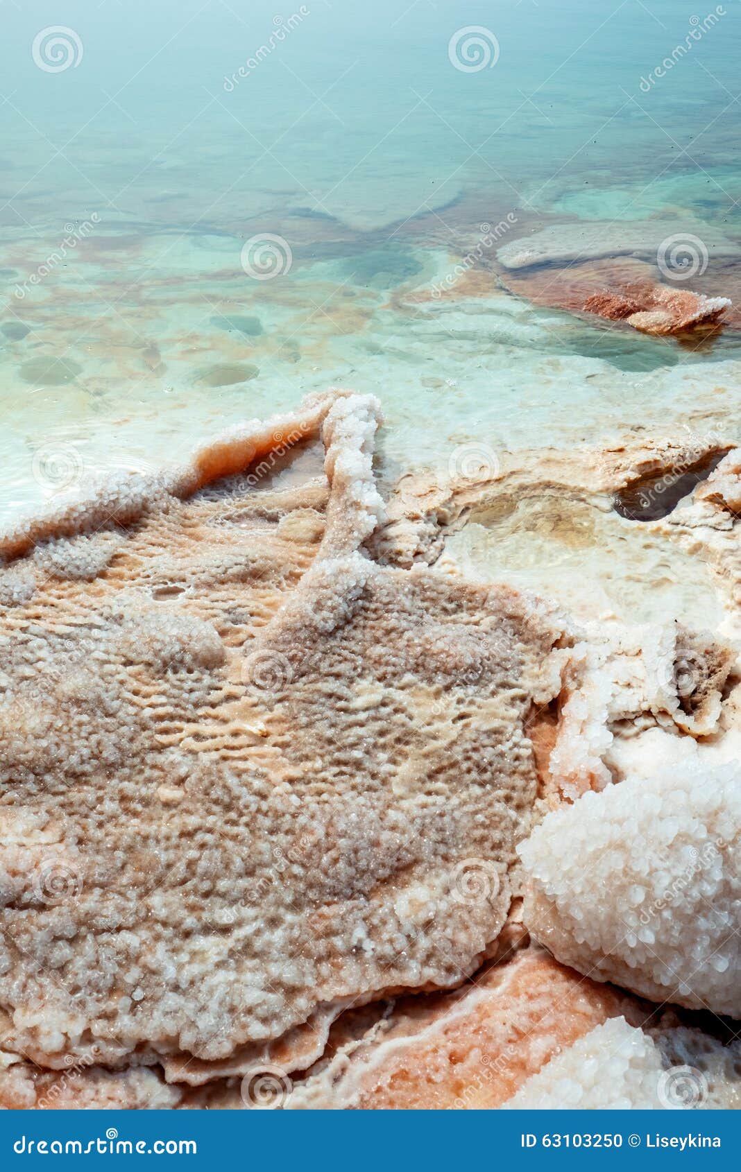 Salt at the Dead Sea Beach. Jordan. Stock Photo - Image of travel, dead ...