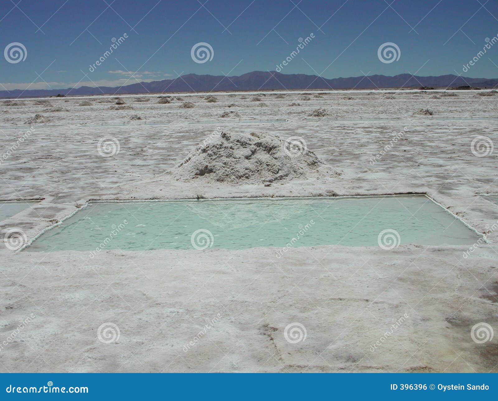 The salt desert of Salta stock photo. Image of camel, salta - 396396