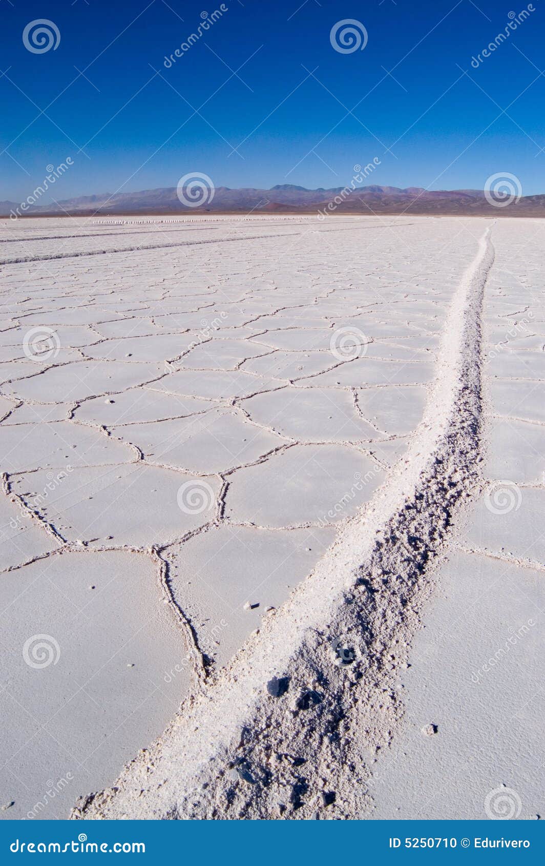 Salt Extraction stock photo. Image of rough, grandes, hard - 5250710