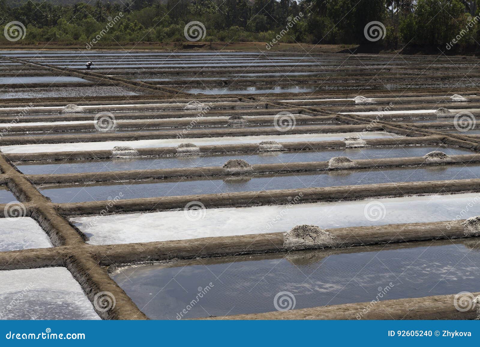 Salt Extraction on Plantations Stock Photo - Image of industry ...