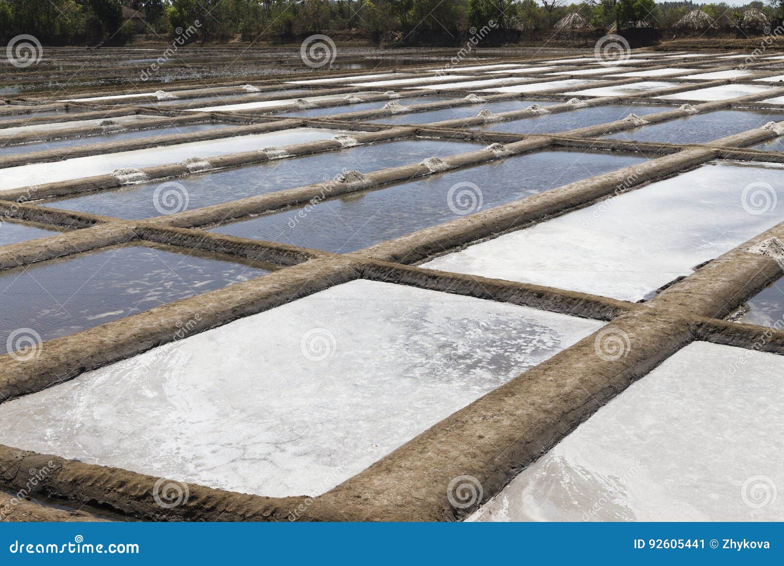 Salt Extraction on Plantations Stock Image - Image of white ...