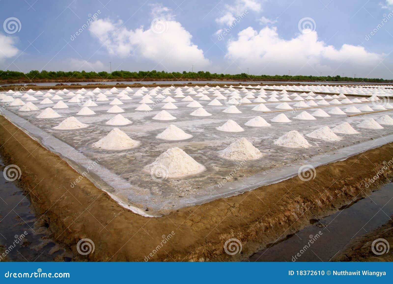 Salt farm stock photo. Image of ingredient, food, salty - 18372610