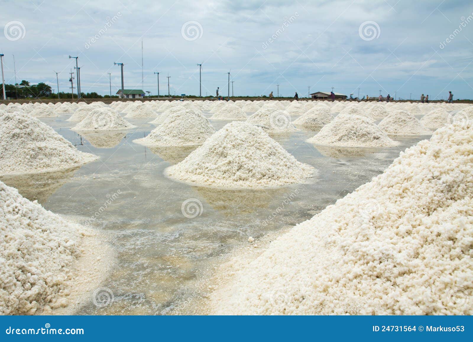 Salt farm stock photo. Image of crystallization, water - 24731564