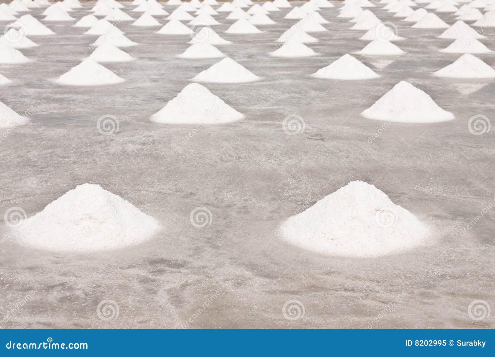Salt farm. stock image. Image of food, heap, mountain - 8202995