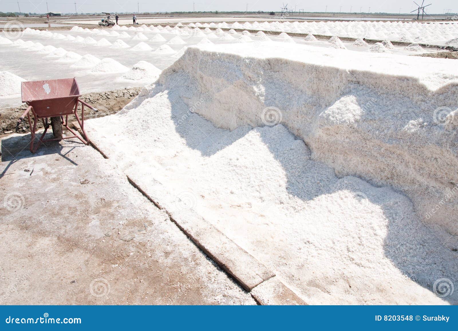 Salt farm. stock photo. Image of water, factory, salt - 8203548