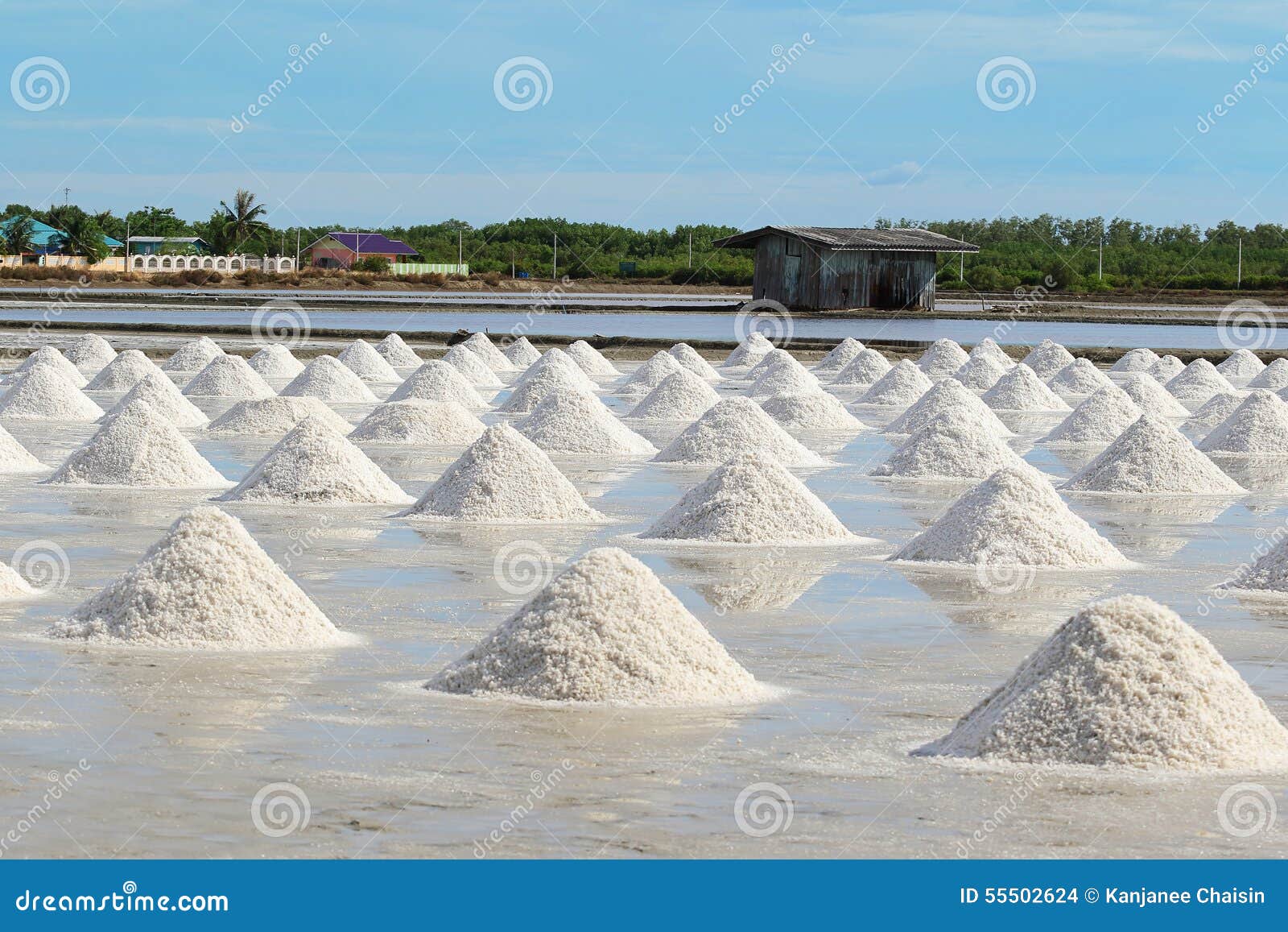 Salt farm stock photo. Image of white, agriculturist - 55502624