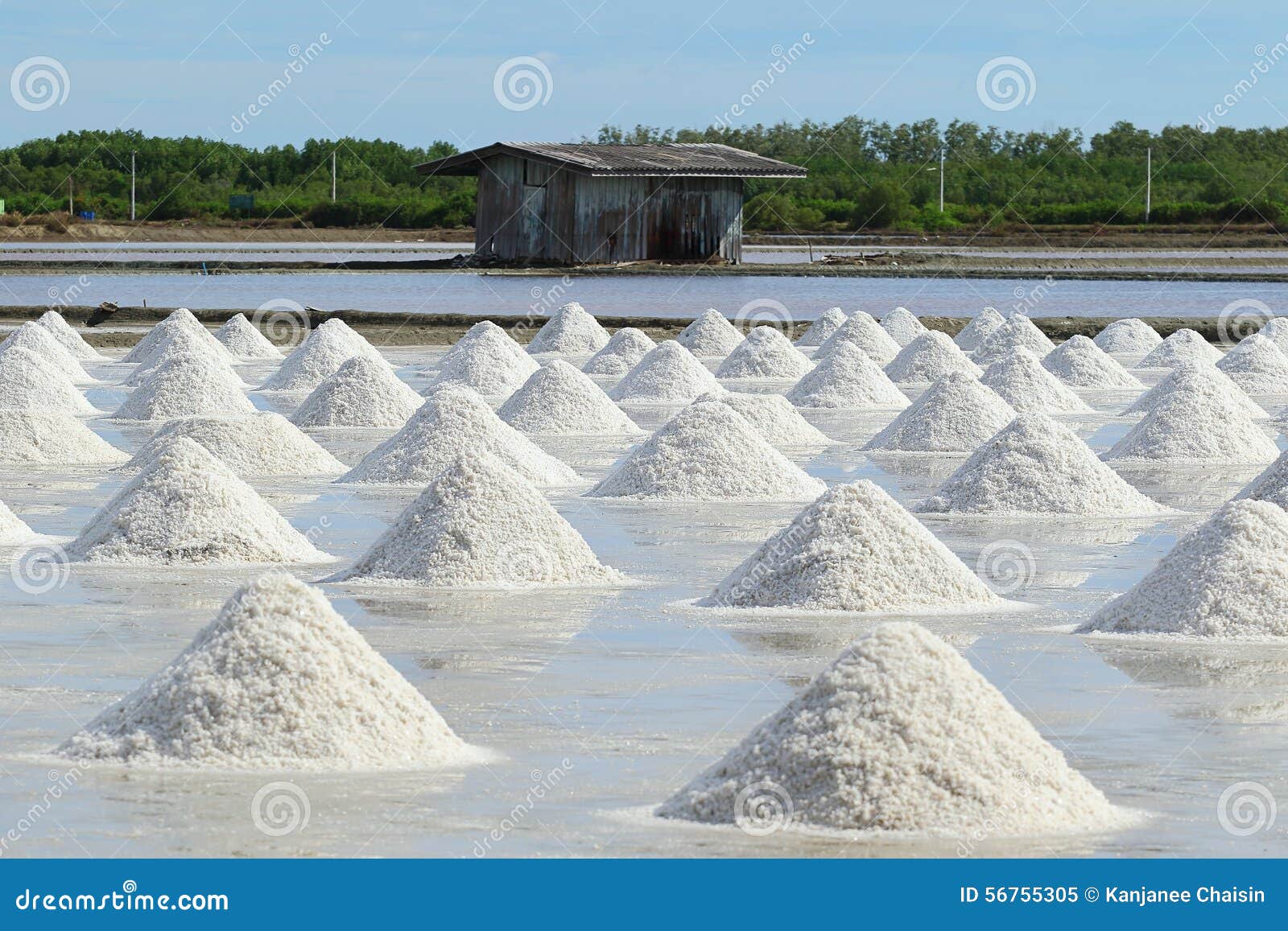 Salt farm stock image. Image of cottage, landscape, natural - 56755305