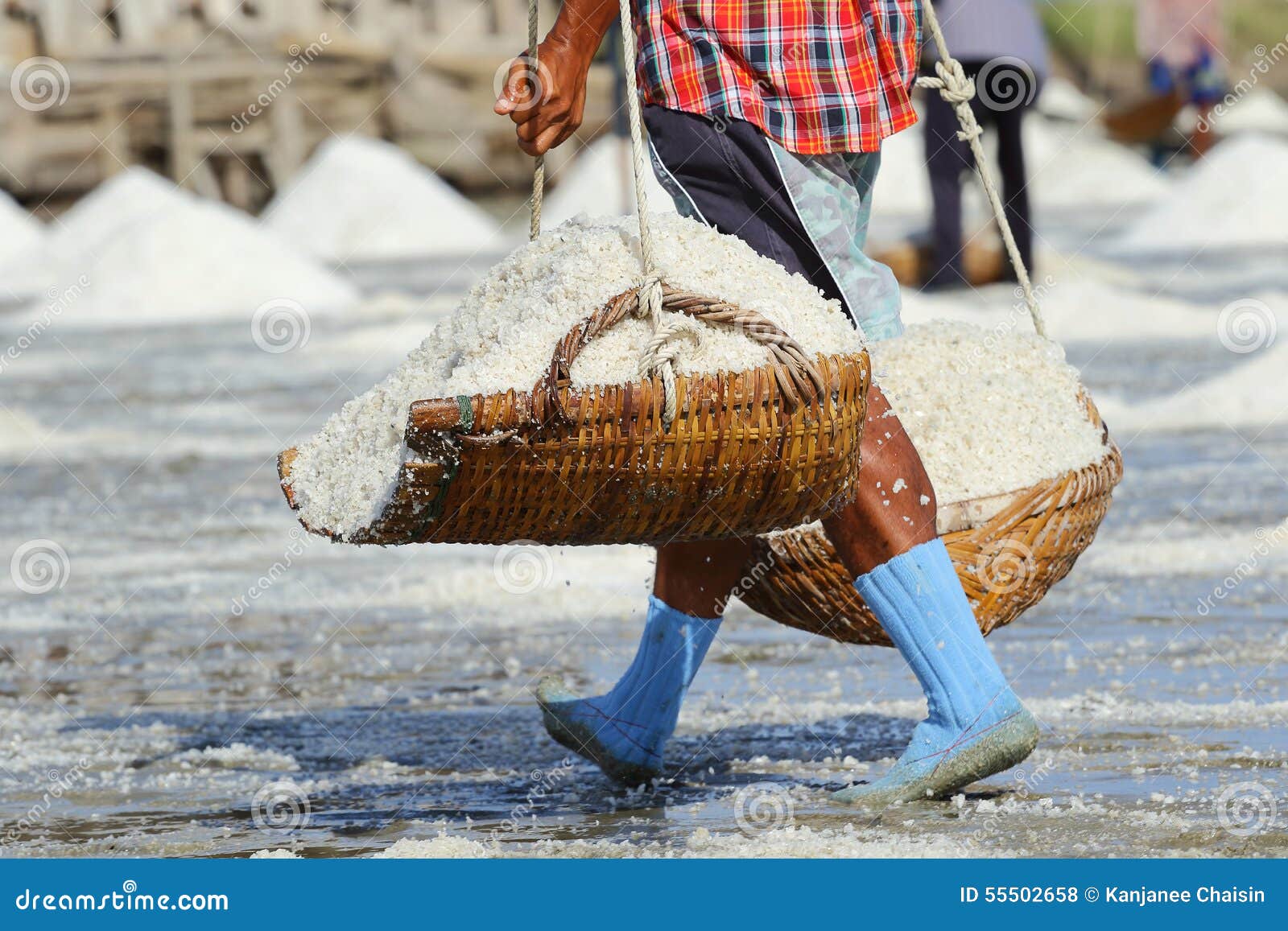 Salt farm stock photo. Image of workman, worker, saline - 55502658