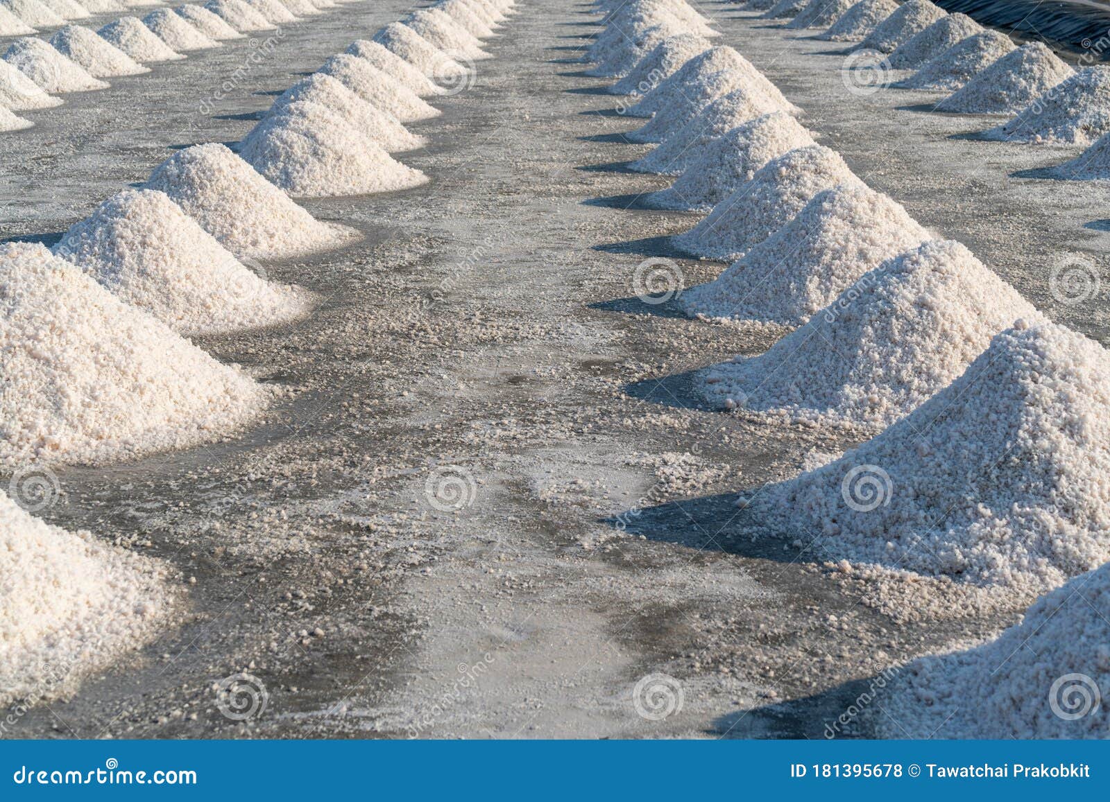 Salt in Salt Farm Ready for Harvest, Thailand Stock Photo - Image of ...
