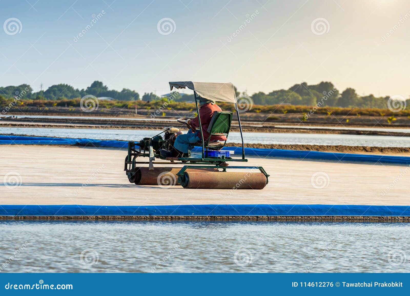 Salt Farm with Salt Roller Car in Salt Field Stock Photo - Image of ...