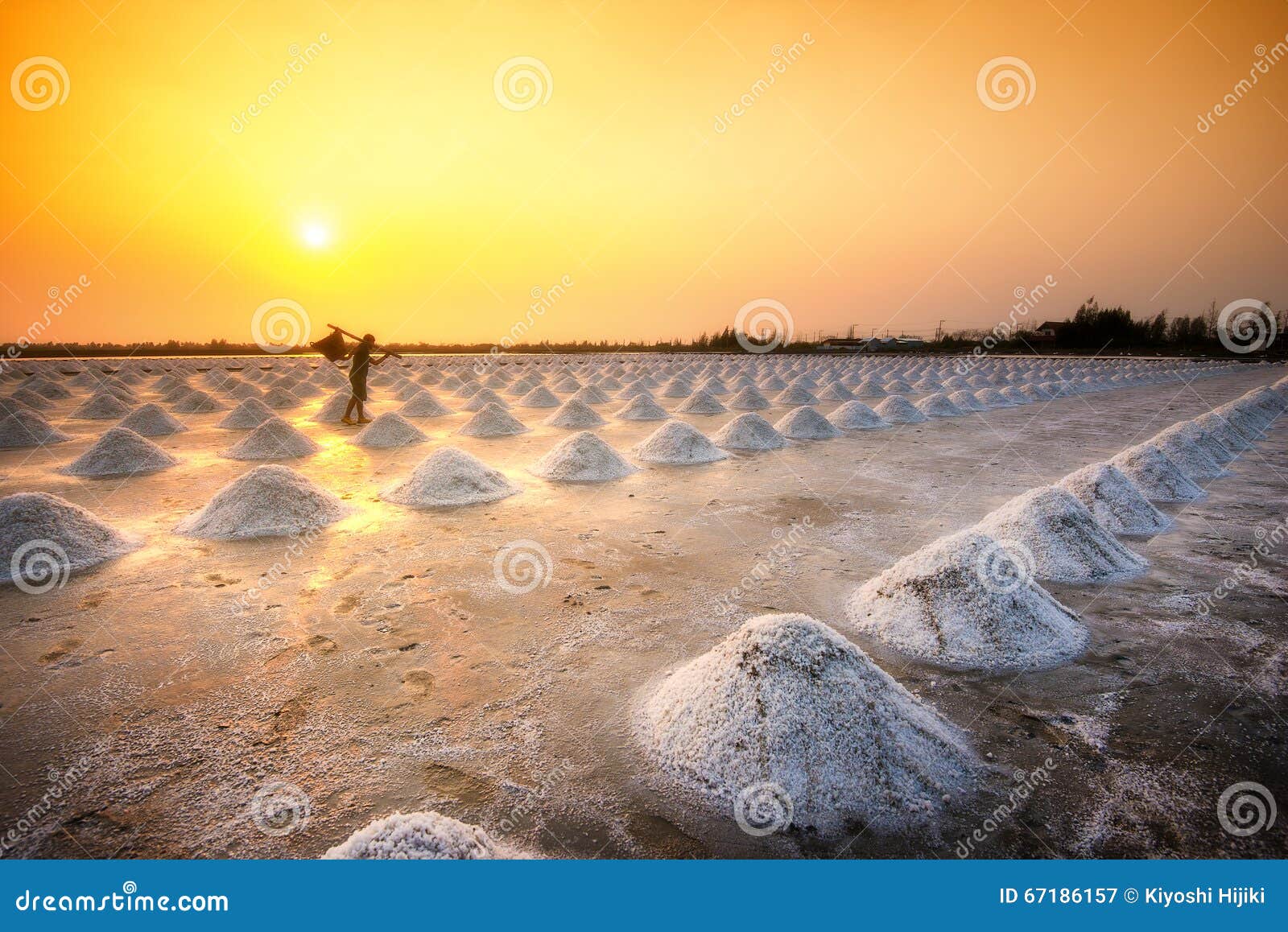 Salt farm editorial photography. Image of agriculture - 67186157