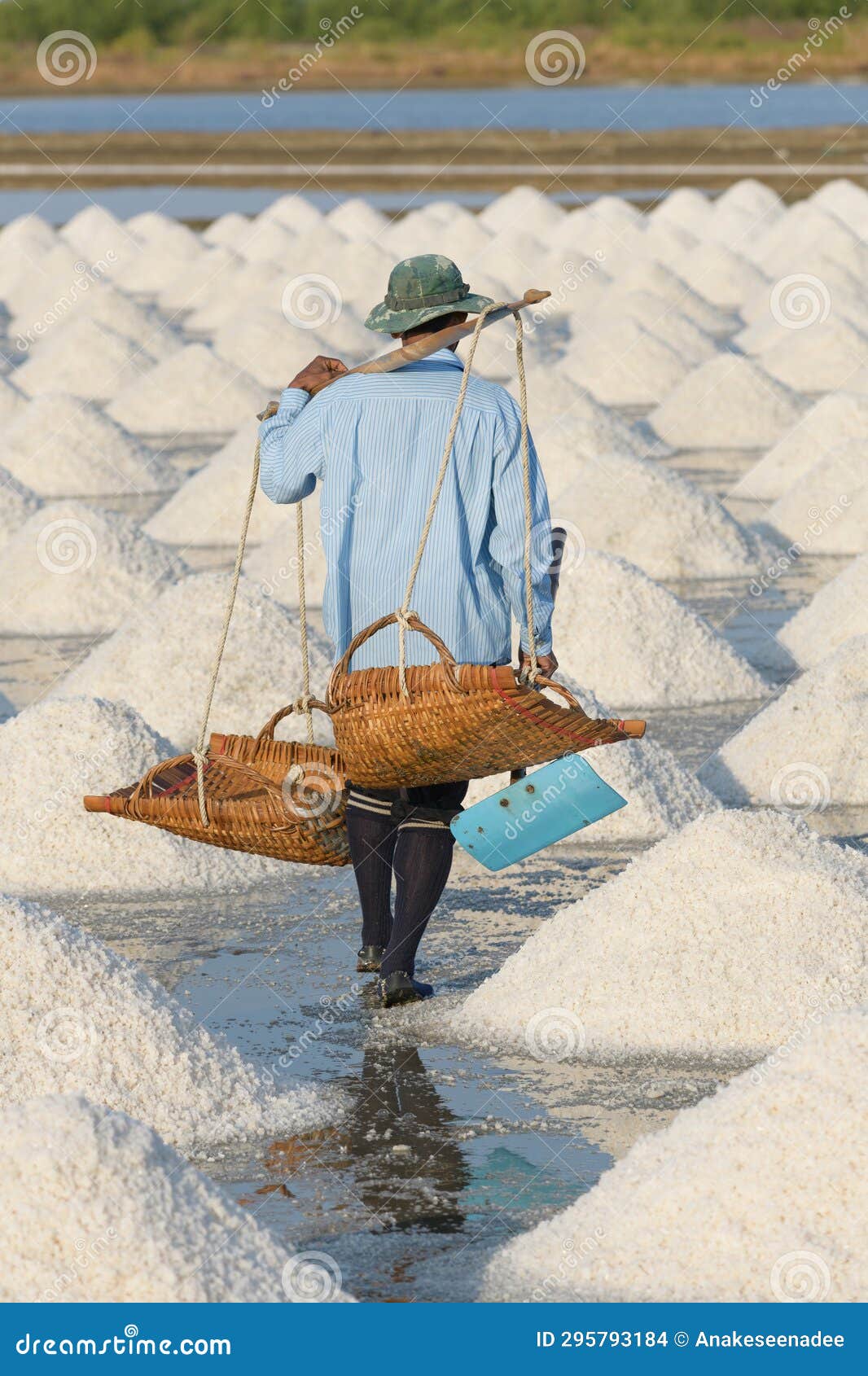 Salt Farmers Carry Salt into the Shed Stock Photo - Image of ...