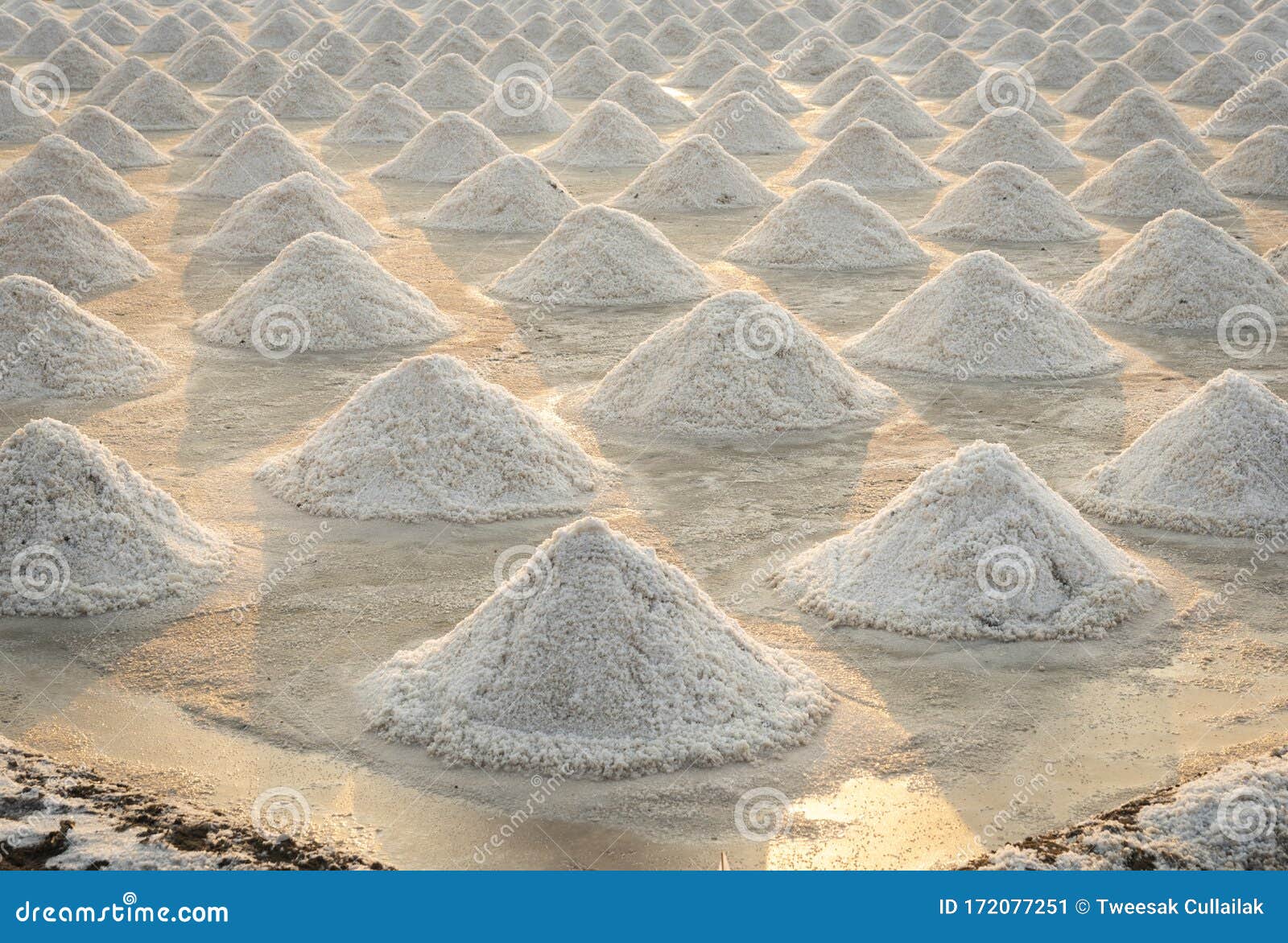 Salt Farming in the Coastal Stock Image - Image of produce, phetchaburi ...
