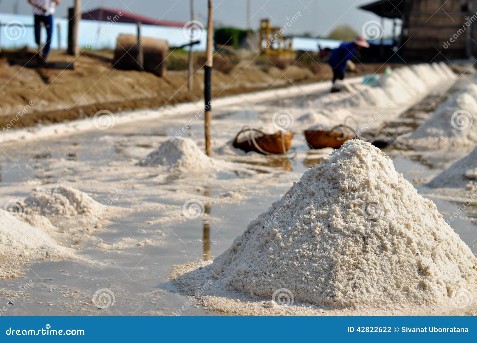 Salt farming Thailand stock photo. Image of salt, field - 42822622