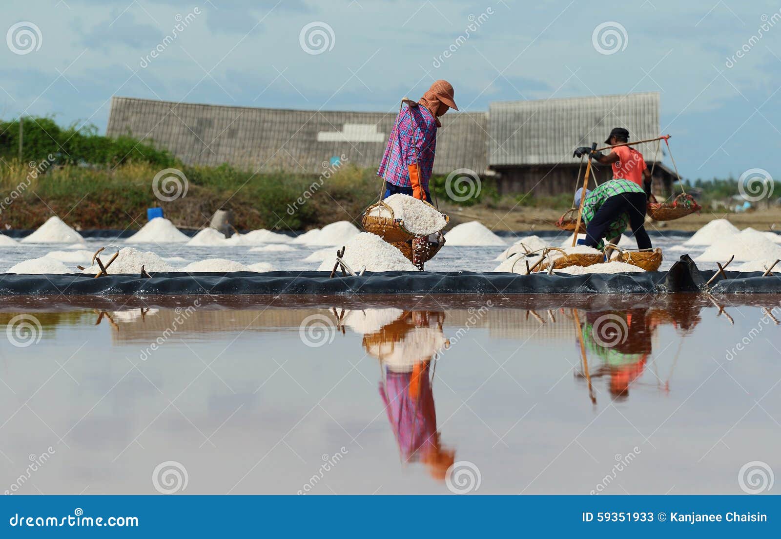 Salt farming editorial stock photo. Image of field, food - 59351933