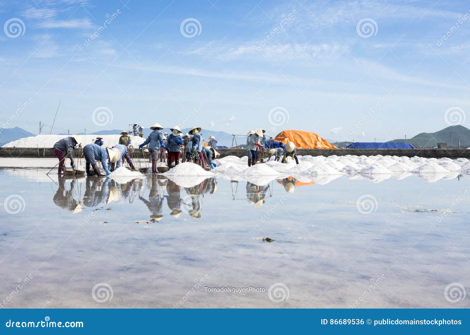 SALT FIELD Picture. Image: 86689536