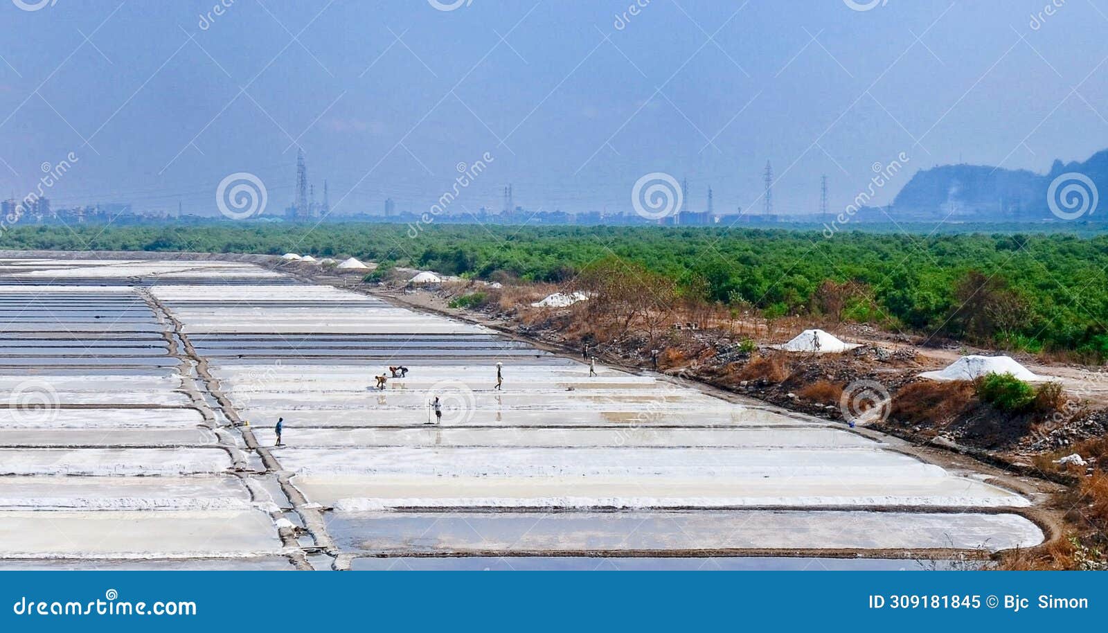 Salt Field Mumbai Bombay India Stock Image - Image of bird, mountain ...
