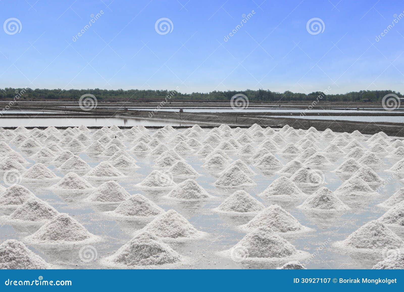 Salt field in Thailand stock image. Image of mineral - 30927107