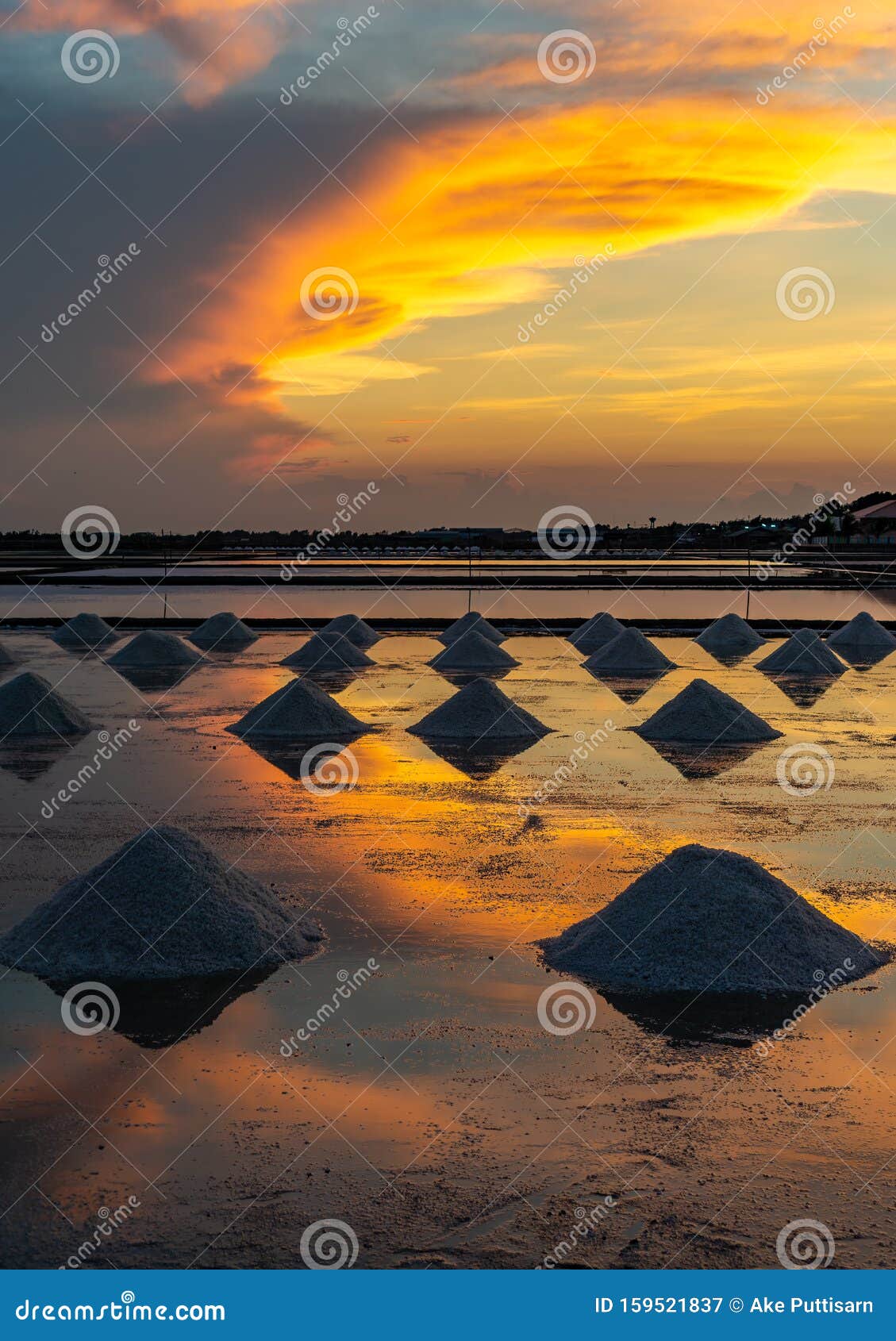 Salt in the Salt Fields in the Evening during the Shoveling of Salt ...