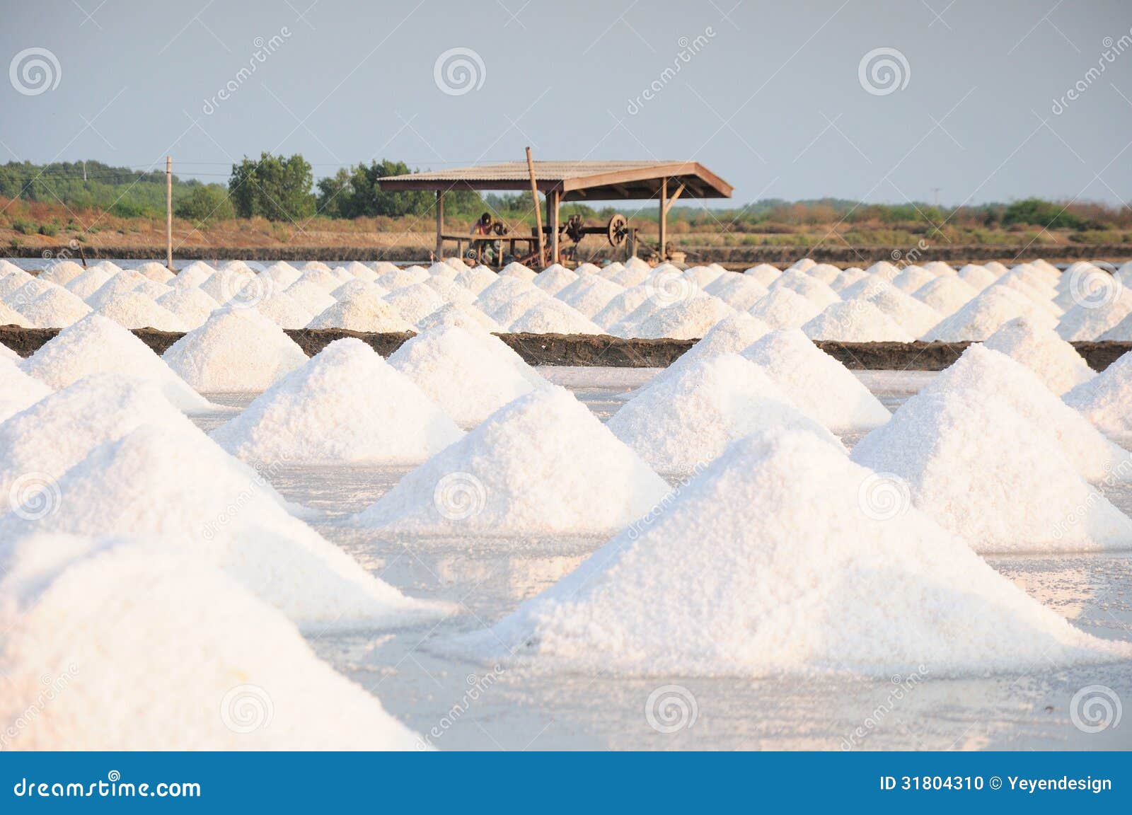 Salt fields stock photo. Image of coastline, east, dead - 31804310